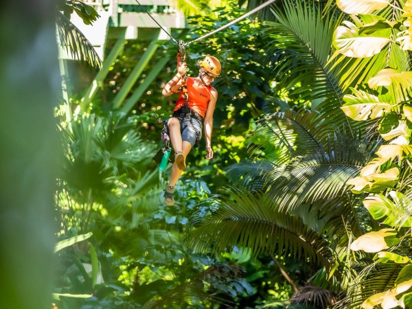 Jungle Zipline Maui | Best Maui Zipline Tours in Haiku, Hawaii
