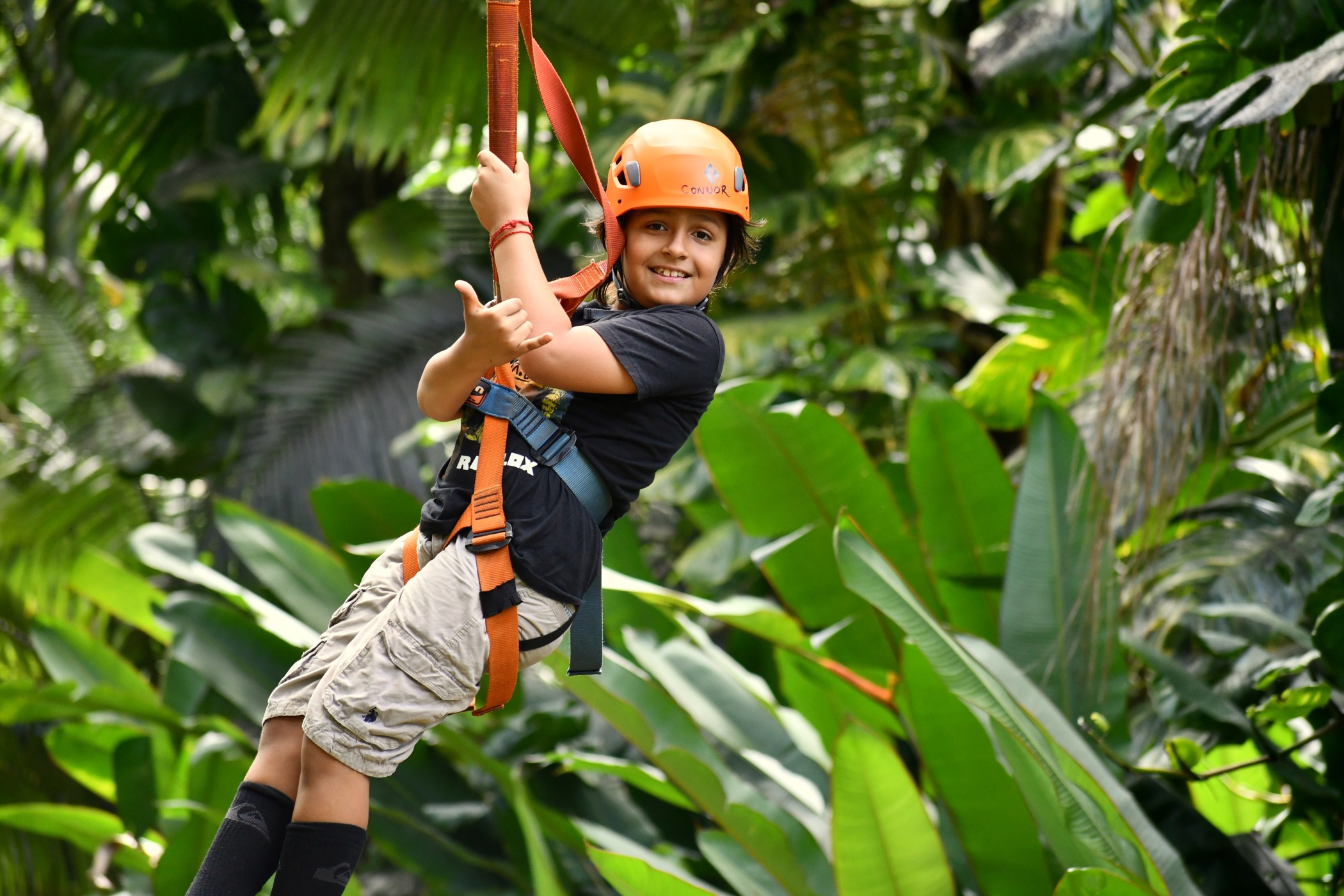 Zipline Maui Hawaii Contact | Jungle Zipline